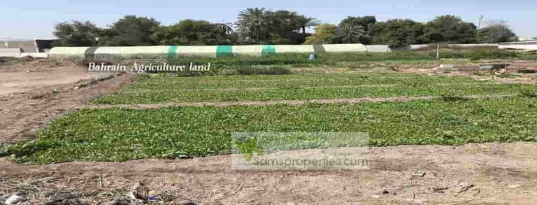 Bahrain agriculture land rent for agro farm, poultry farm - Sams Properties