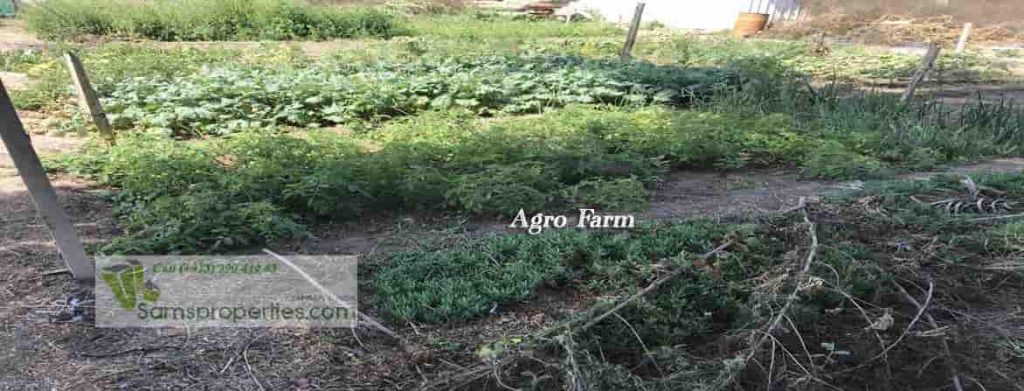 Bahrain agriculture land rent for agro farm, poultry farm - Sams Properties